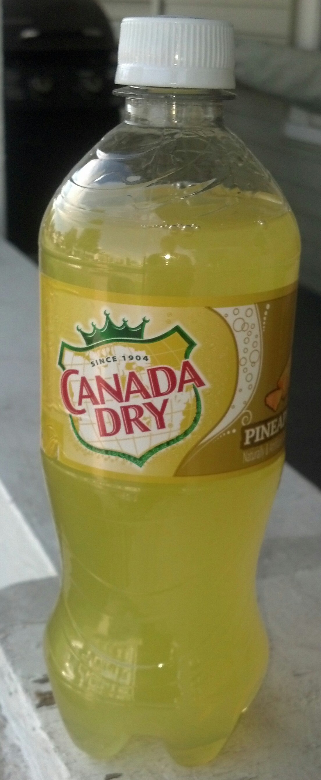 Canada Dry Pineapple - Thirsty Dudes