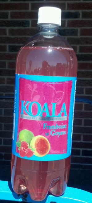 Koala Sparkling Fruit Beverage Raspberry & Guava - Thirsty Dudes