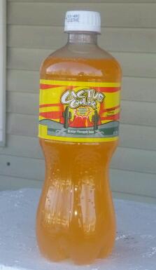 Cactus Cooler Orange Pineapple Blast - Thirsty Dudes