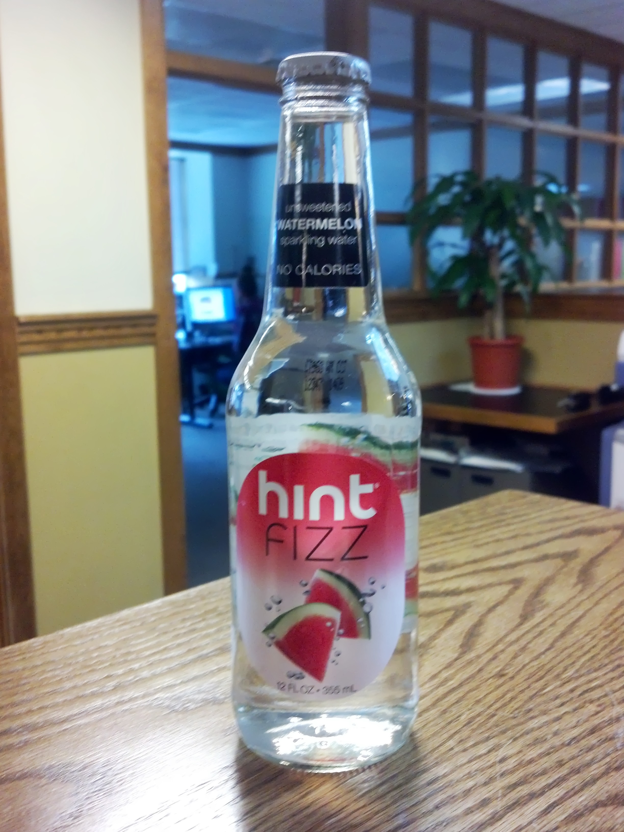 Hint Fizz Watermelon - Thirsty Dudes